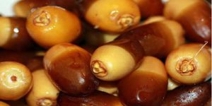 What is the difference between Rotab and Dates? - Payvand Company ...